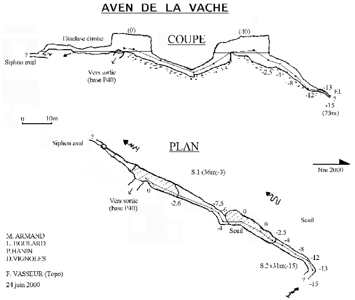 plongee souterraine - vache